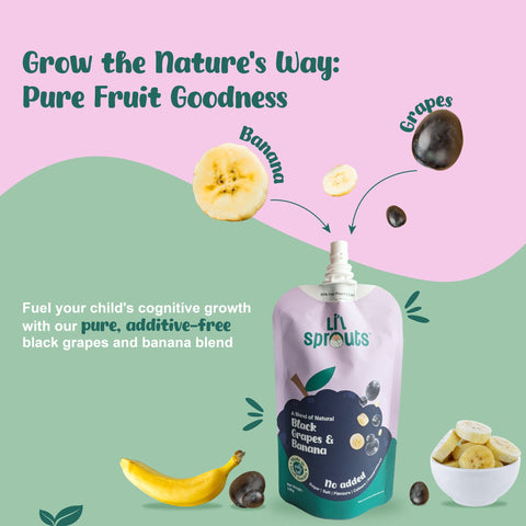 Veggies and Fruits Puree Starter Pack – Li'l Sprouts